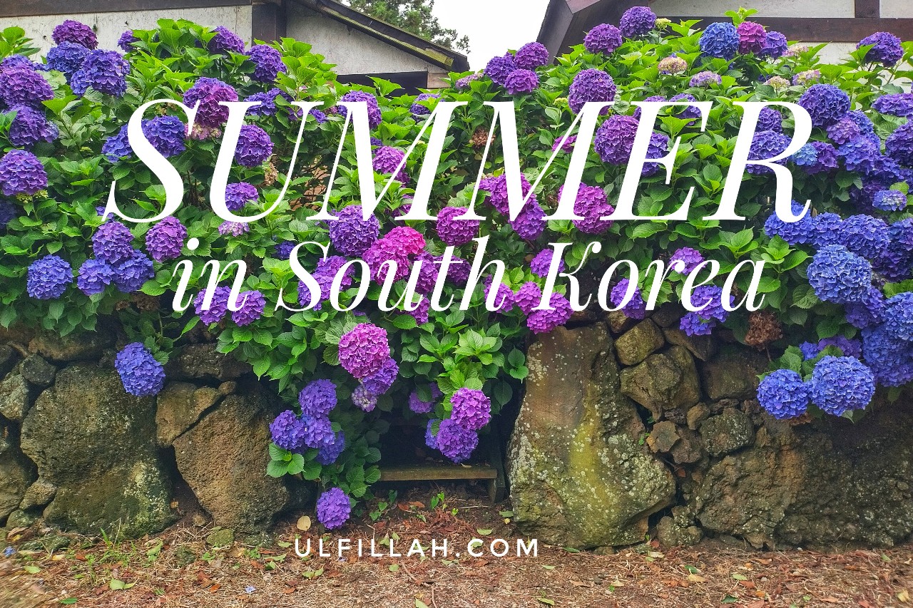 Musim Panas di Korea Selatan: Kapan, Cuaca dan Aktivitas Seru! - Bala ...